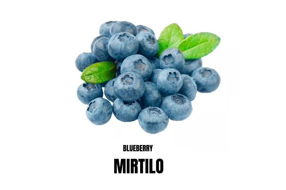 Mirtilo: o “Rei dos Antioxidantes” e o “Fruto da Juventude” – Trail ...